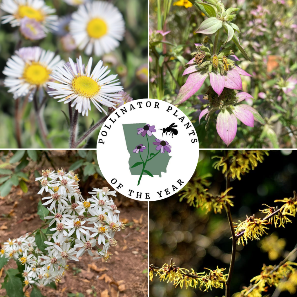 News - UGA State Botanical Garden