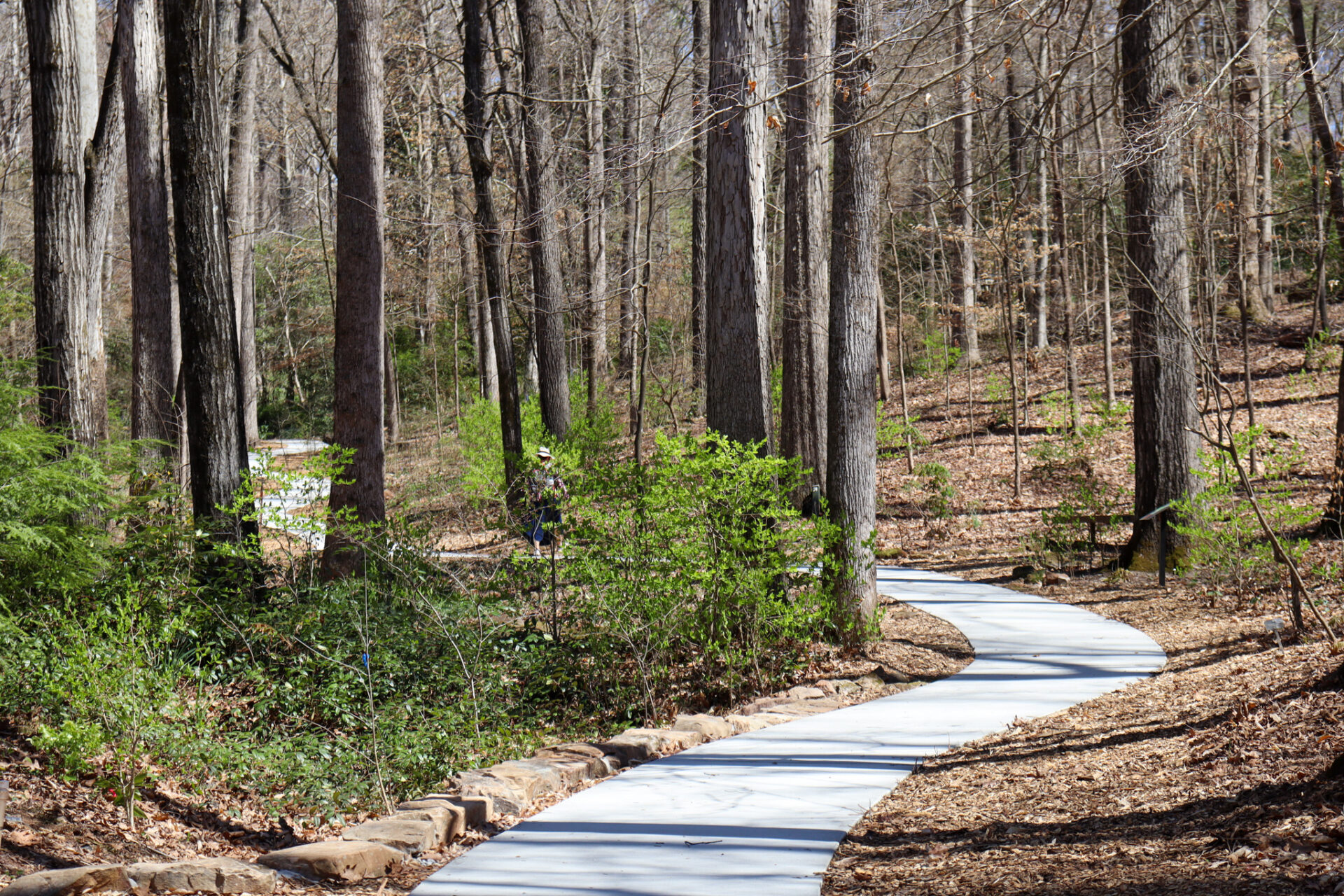 State Botanical Garden of Georgia | UGA | Athens, GA